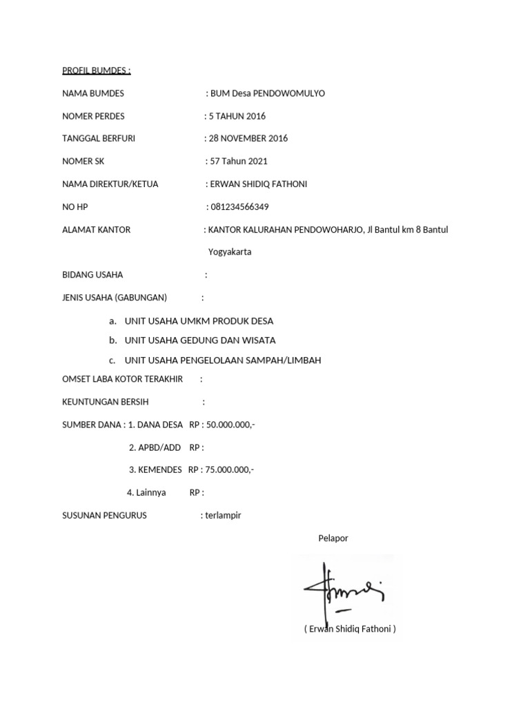 PROFIL BUMDES-WPS Office | PDF