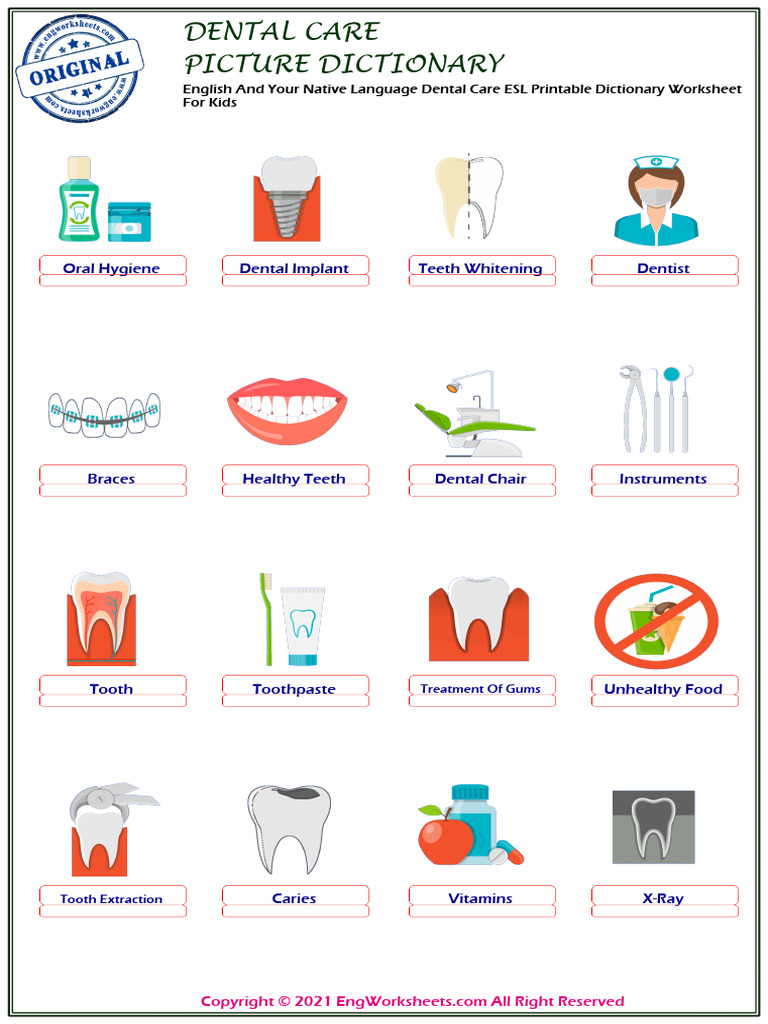 English and Your Native Language Dental Care Esl Printable Dictionary ...