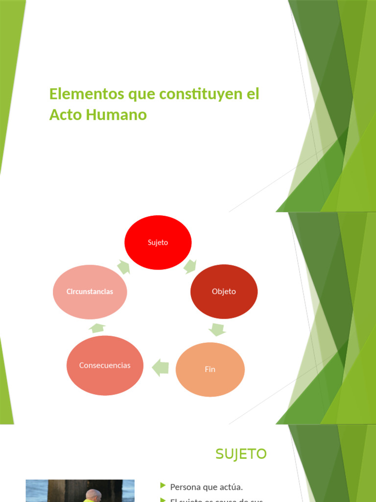 Elementos Que Constituyen El Acto Humano | PDF