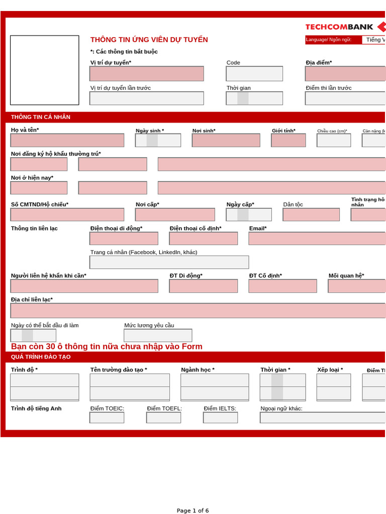 Mẫu CV - TCB | PDF