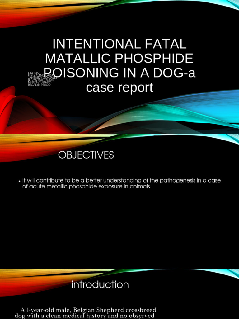 Intentional Fatal Matallic Phosphide Poisoning in A Dog | PDF | Stomach | Anatomy