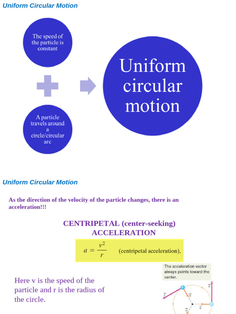 Week3 Torque and Angular Momentum | PDF | Rotation Around A Fixed Axis | Angular Momentum