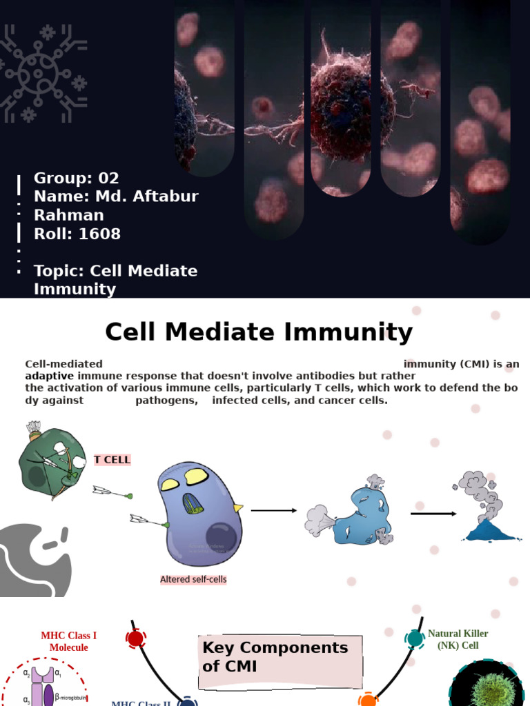 Cmi Immunology | PDF