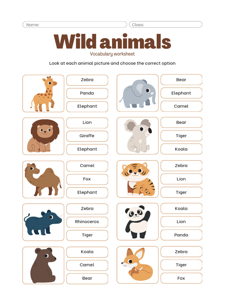 Wild Animals Worksheet | PDF