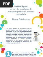 Perfil de Egreso Fase 3 y 4 | PDF