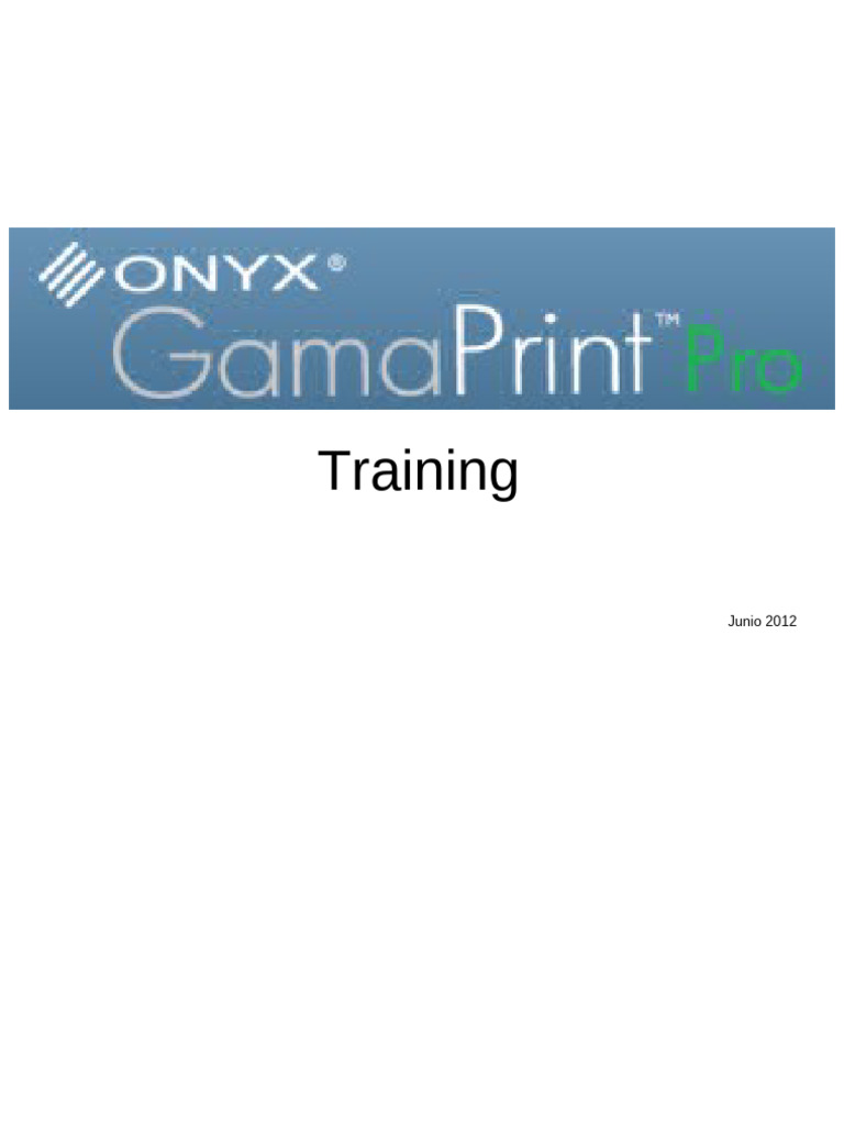 01 Apoyo ONYX GPP | PDF