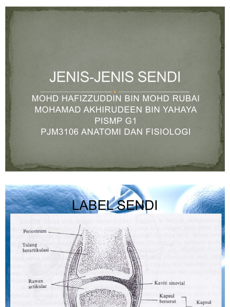 Jenis-Jenis Sendi | PDF