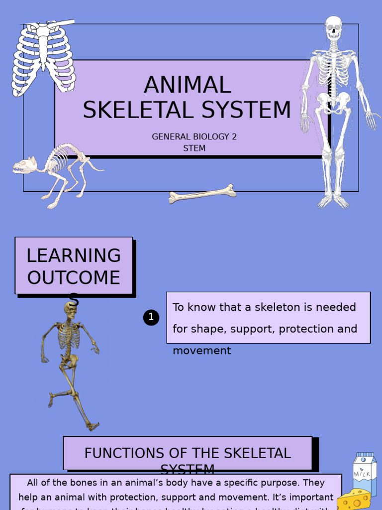 Animal Skeletal System Overview | PDF | Skeleton | Bone