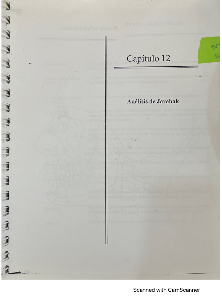 Analisis de Jarabak | PDF