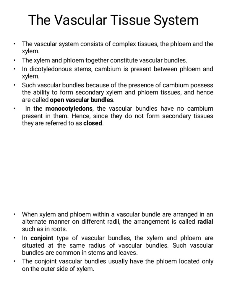 The Vascular Tissue System: Open Vascular Bundles Monocotyledons Closed ...