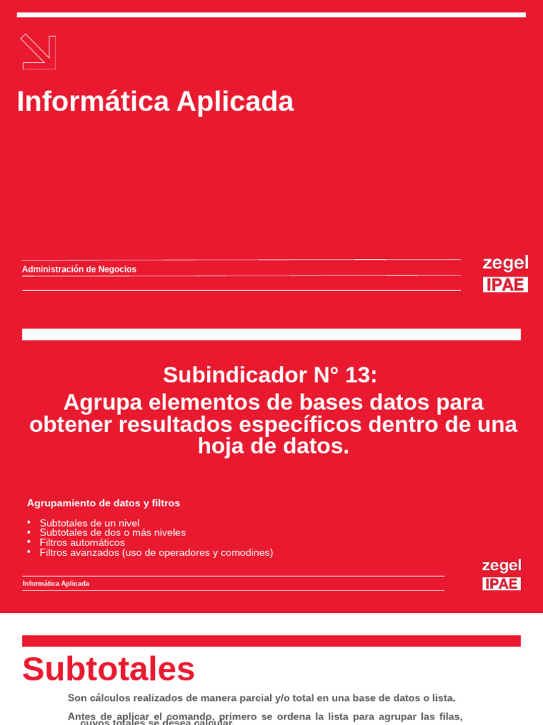 Tema 13 - Agrupamiento de Datos y Filtros | PDF | Microsoft Excel | Informática