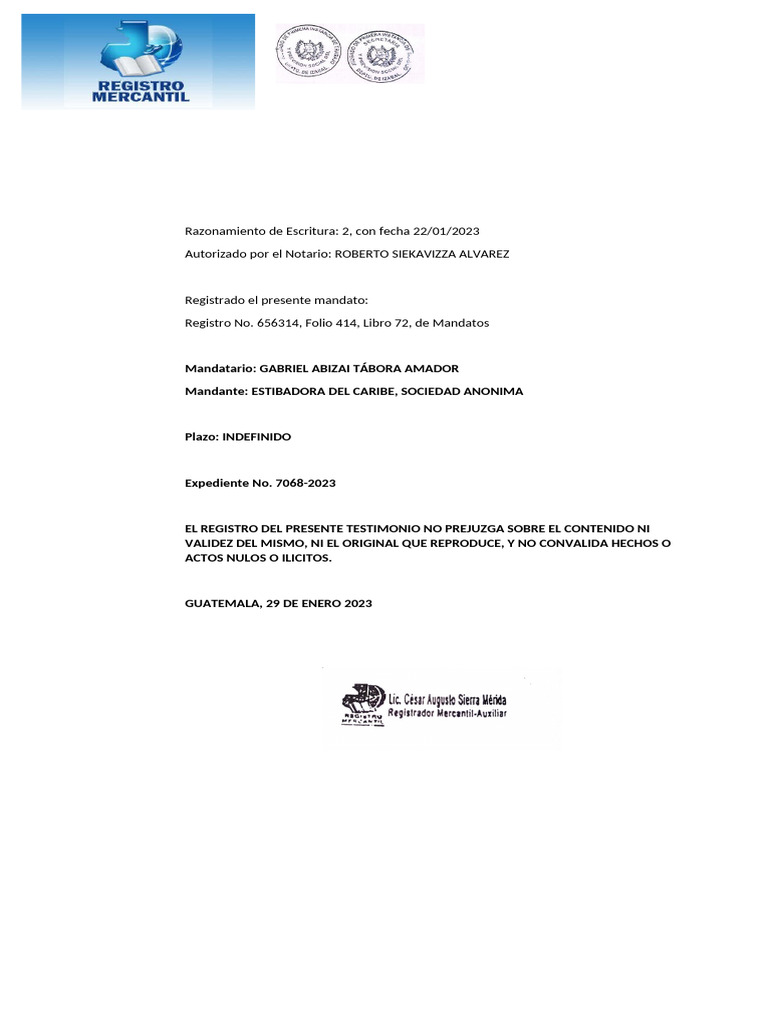 Constancia Del Registro Mercantil Del Nombramiento, Lic Duarte | PDF Constancia Del Registro Mercantil Del Nombramiento, Lic Duarte | PDF