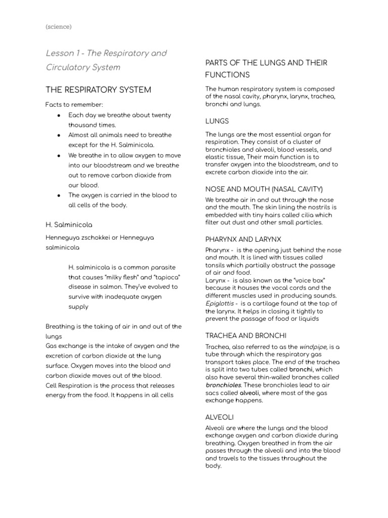 (Science) Respiratory and Circulatory System | PDF | Dominance ...