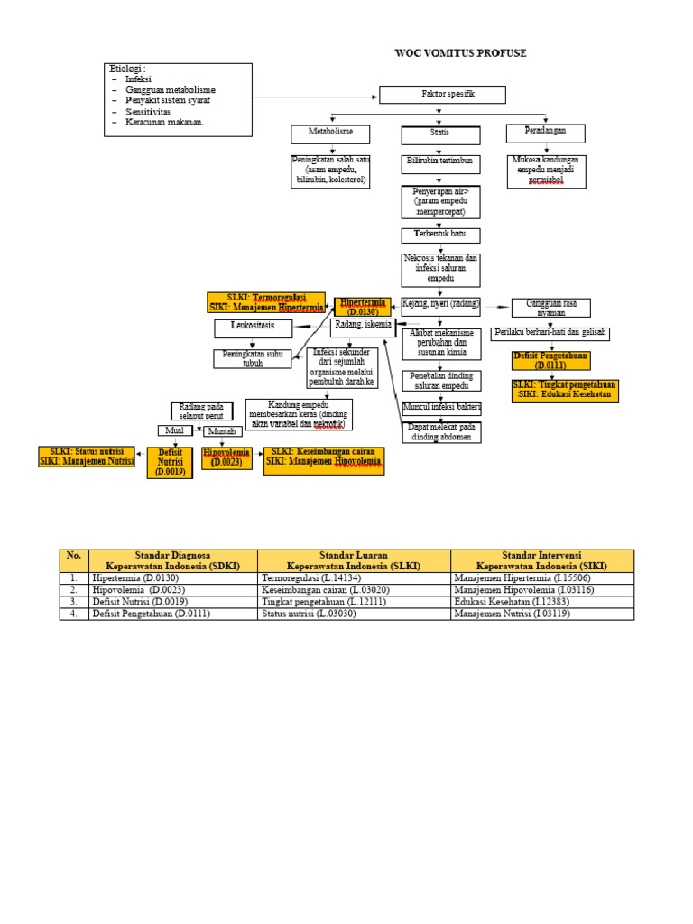 Woc Vomitus Profuse | PDF