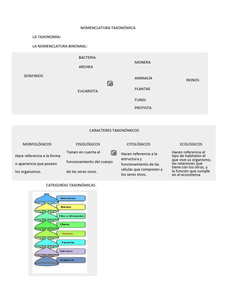 Nomenclatura Taxonomica Mapa - PDF 20241029 014858 0000 | PDF