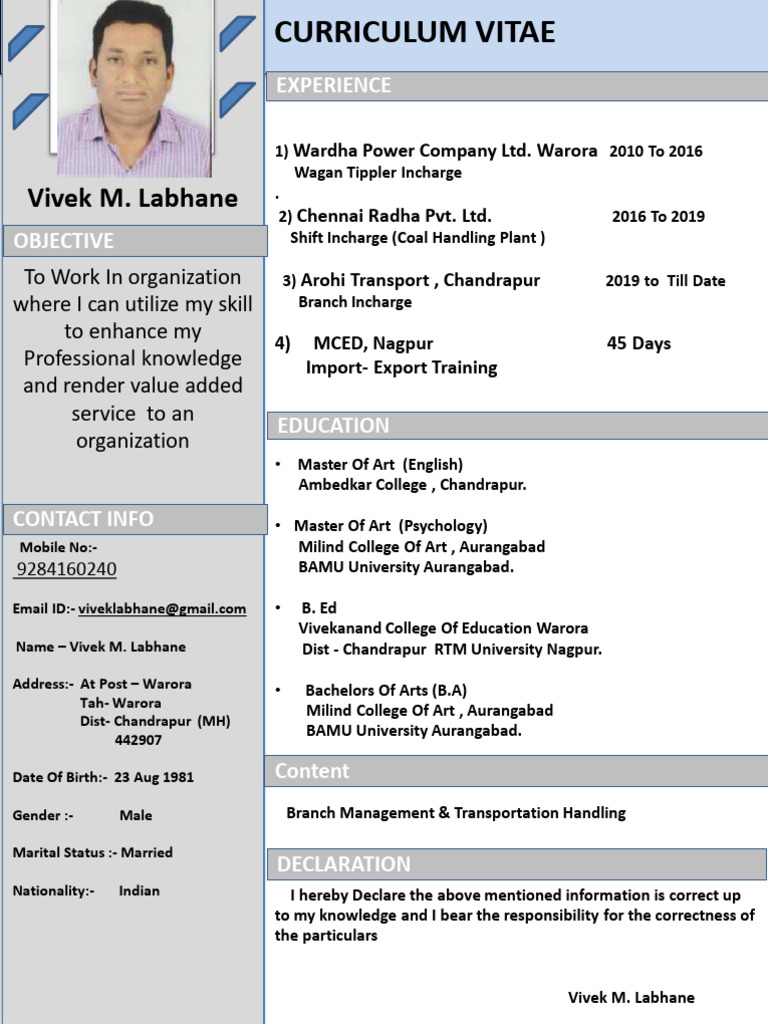 Vivek Labhane CV: Skills & Experience | PDF