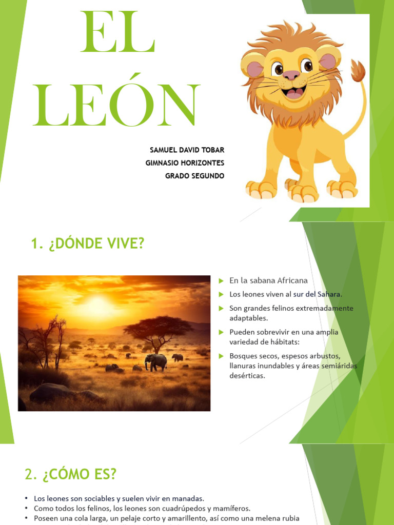 Al Fin | PDF