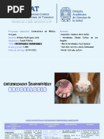 Proteus Ox-19 y Rickettsiosis: Guía Clínica | PDF | Organismos ...