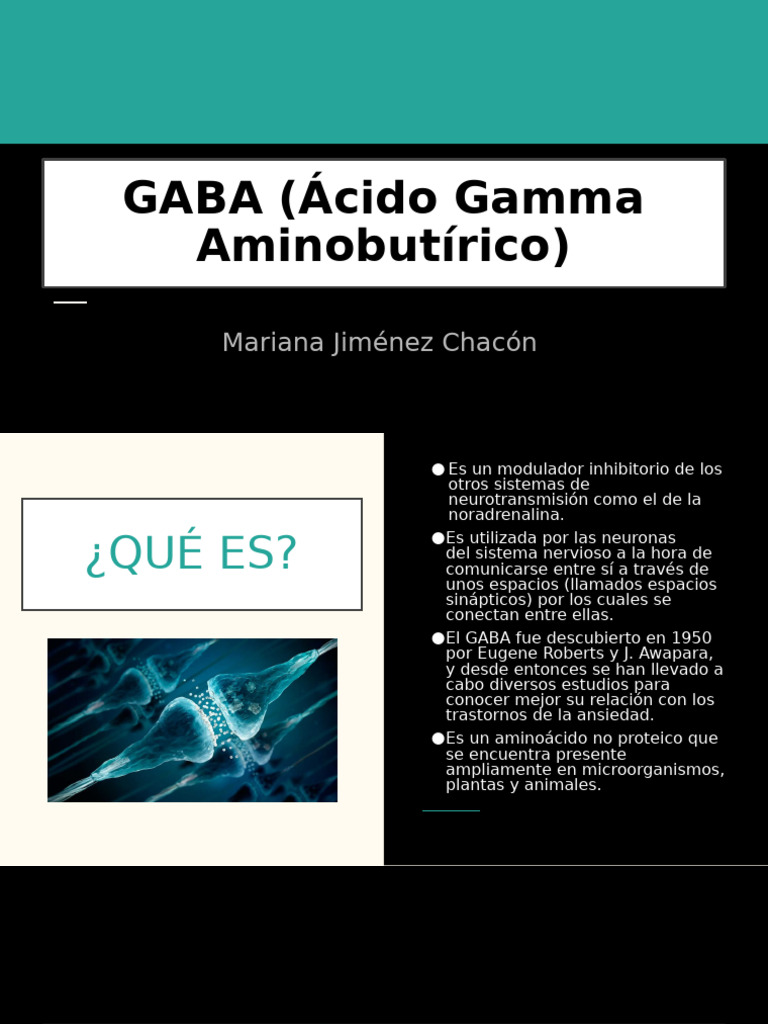 GABA: Funciones, Síntesis y Enfermedades | PDF | Sinapsis | Biología ...