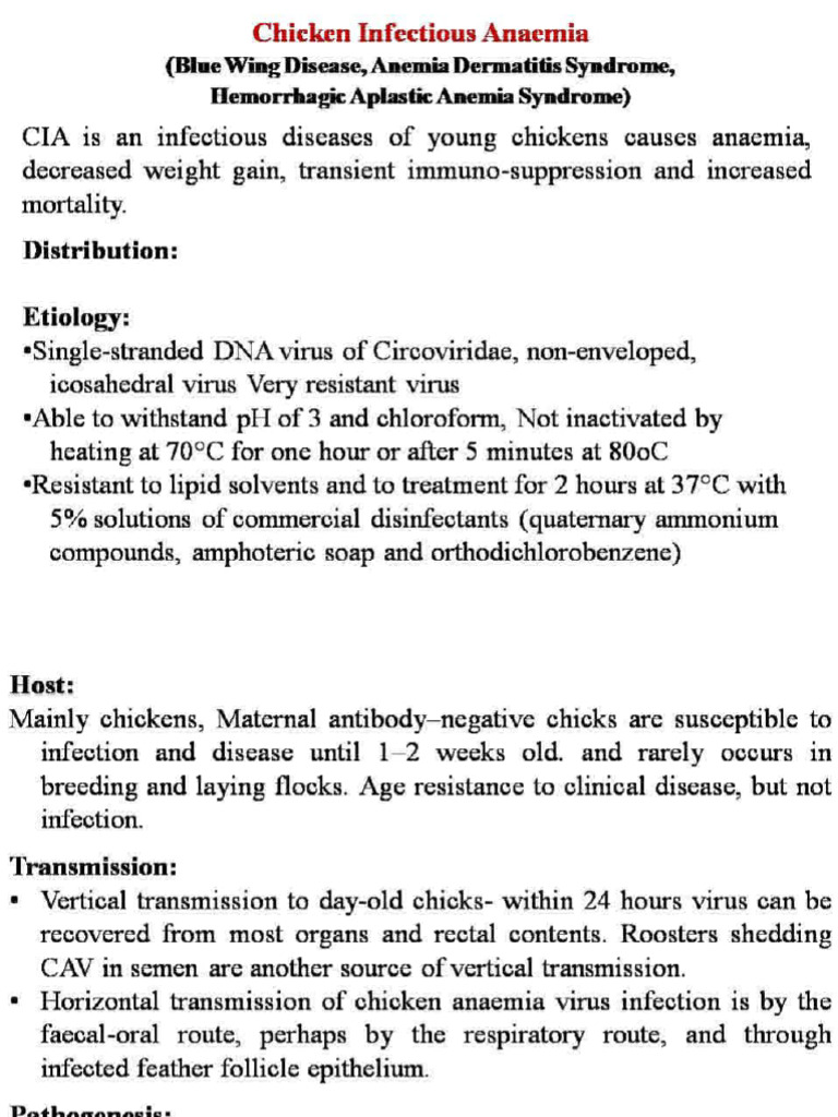 Chicken Infectious Anemia | PDF