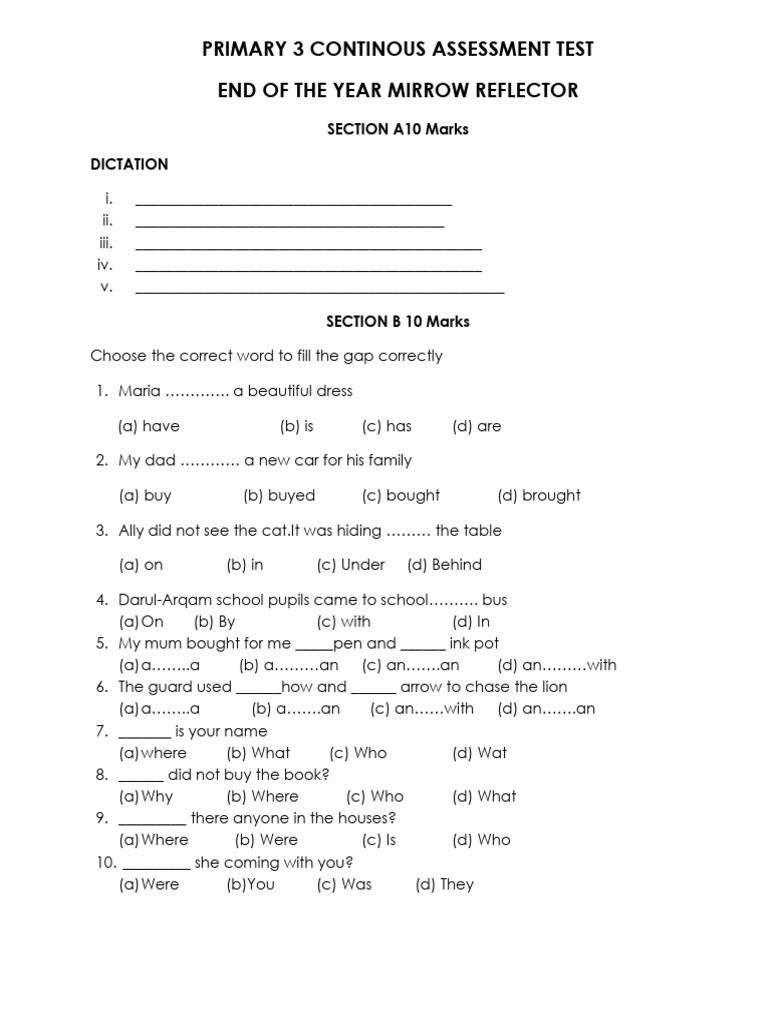 Primary 3 Continous Assessment Test End of The Year Mirrow Reflector | PDF