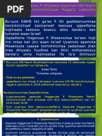 Karoora Dhuunfaa Abdellahi Jabir | PDF