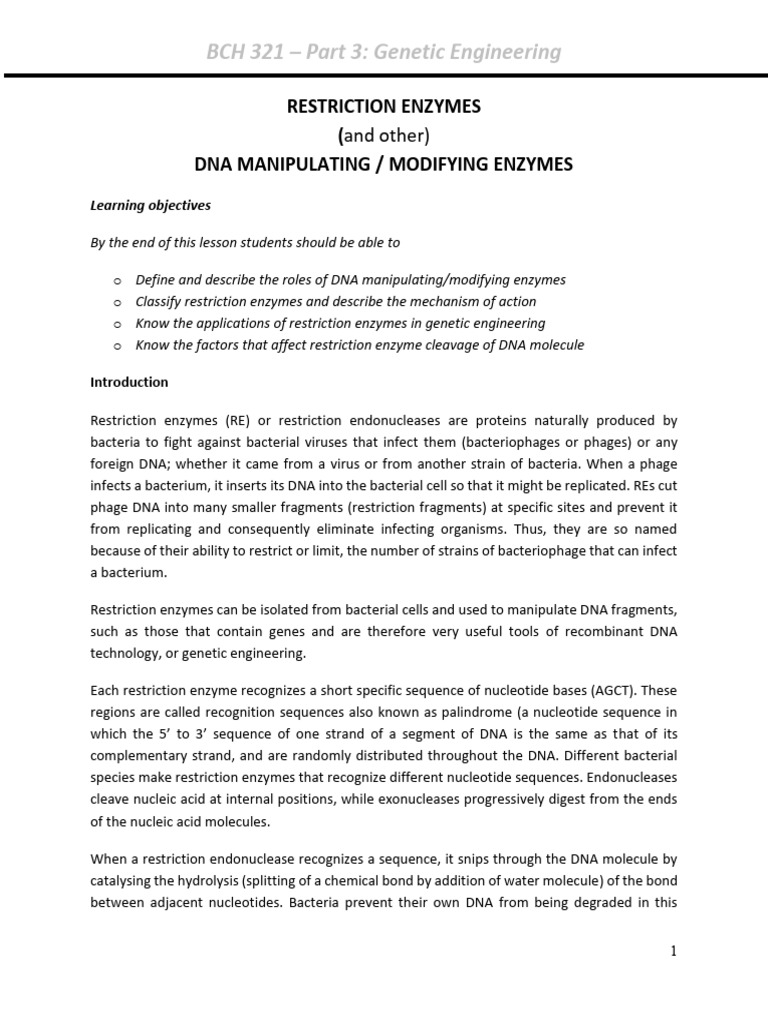 Restriction Enzymes and DNA Modifying Enzymes 2024-2025 | PDF ...