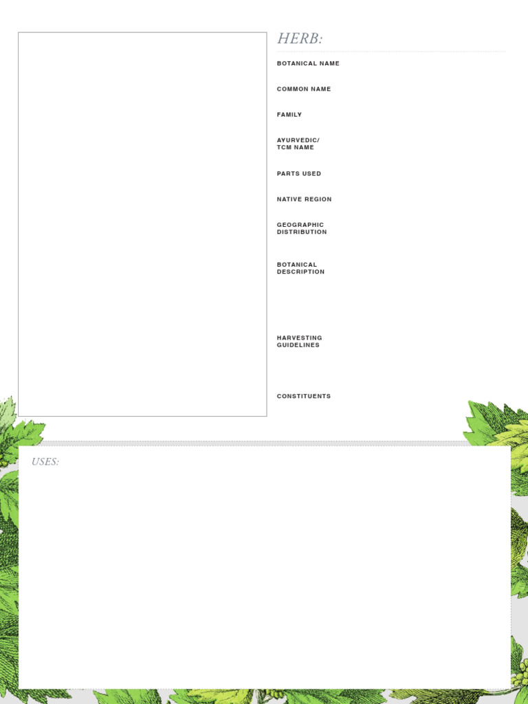 Herbal Monograph Template Guide | PDF