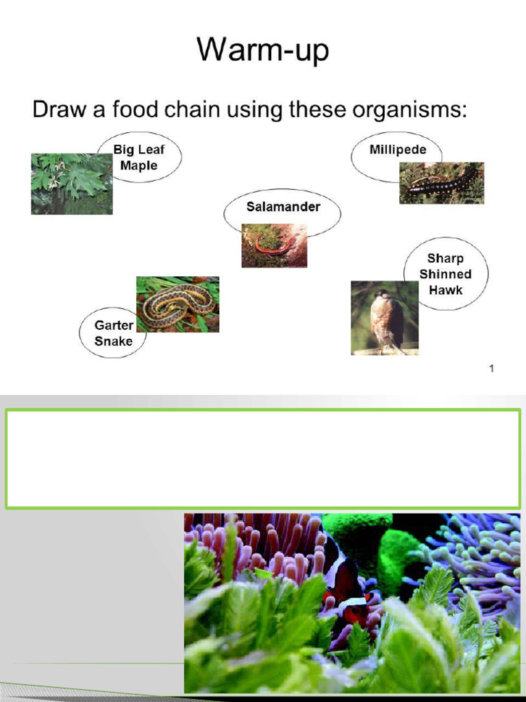 Organisms and Their Environment | PDF | Food Web | Foods