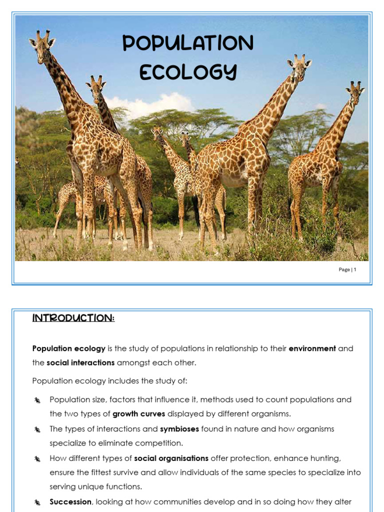Understanding Population Ecology Basics | PDF | Predation | Ecological ...
