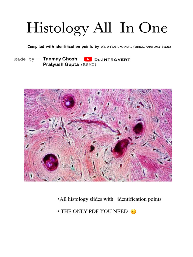 Histology All in One BSMC - 241028 - 152905 | PDF | Epithelium | Anatomy