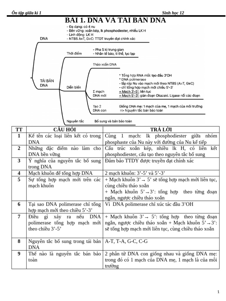 2. LÝ THUYẾT GK1 - SINH 12 | PDF