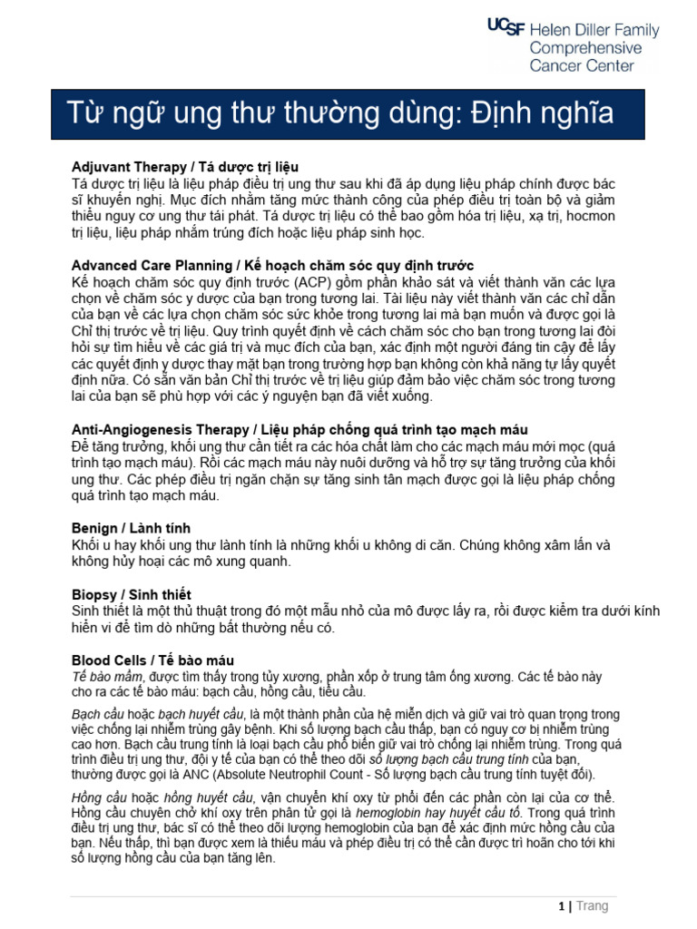 Terms Vietnamese | PDF