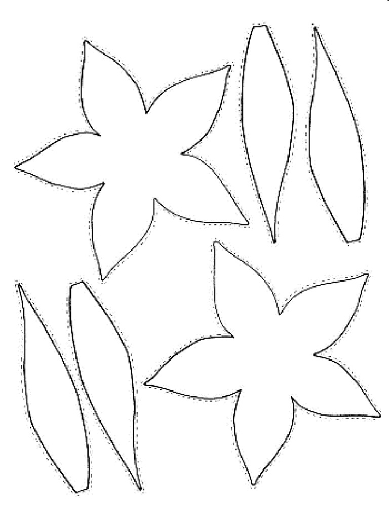 Narcise | PDF