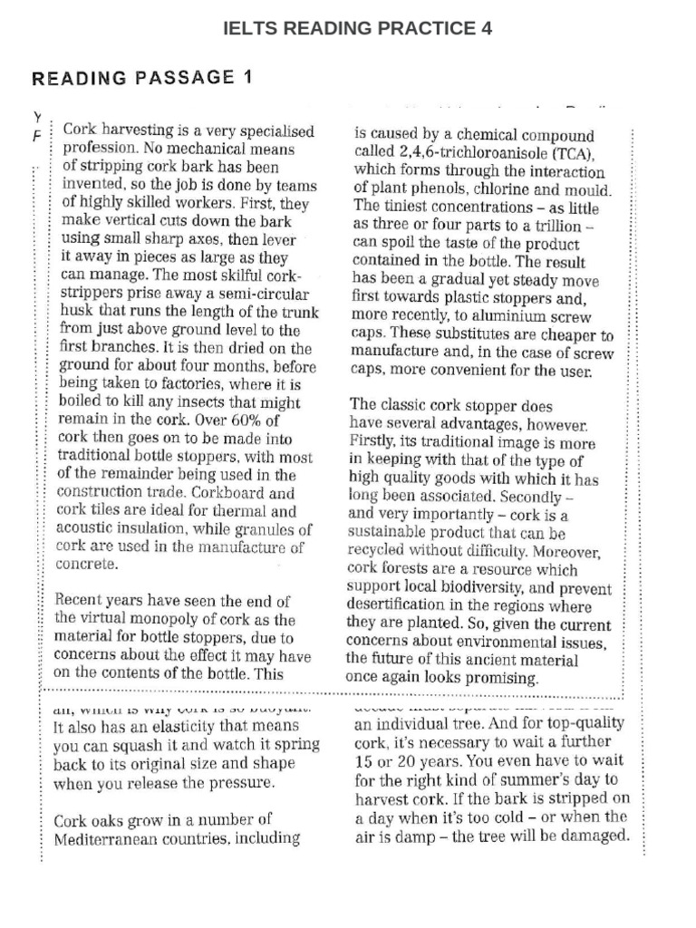 IELTS Reading Sample 4 | PDF