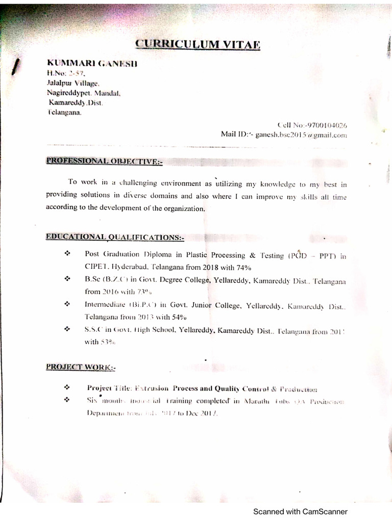 PVC | PDF