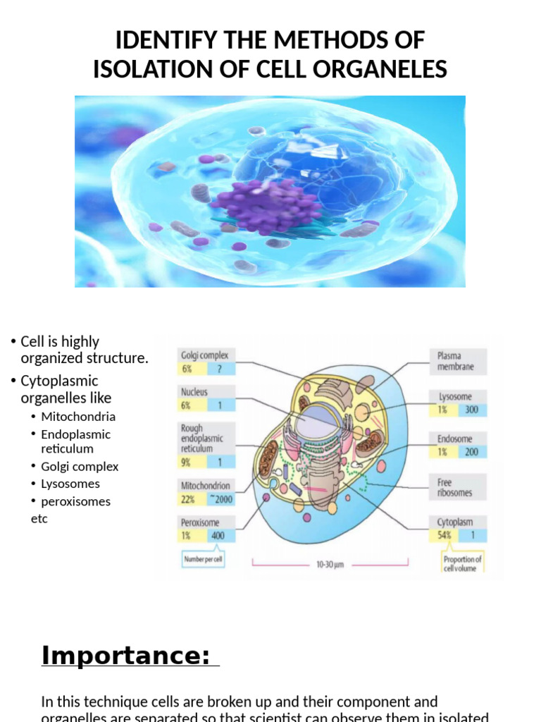 Isolation of Organelles | PDF | Centrifugation | Cell (Biology)