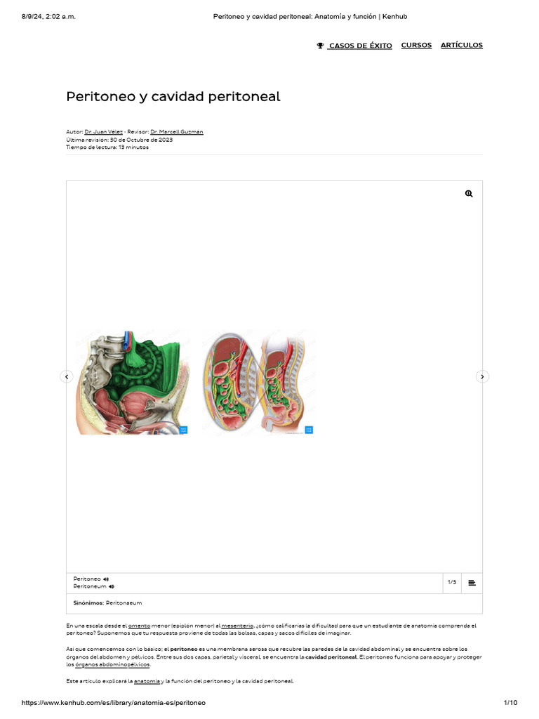 Anatomía del Peritoneo y Cavidad Abdominal | PDF | Peritoneo | Abdomen