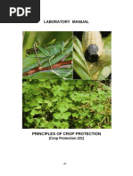 Rice Insect Pest & Their Management | PDF | Biological Pest Control | Rice