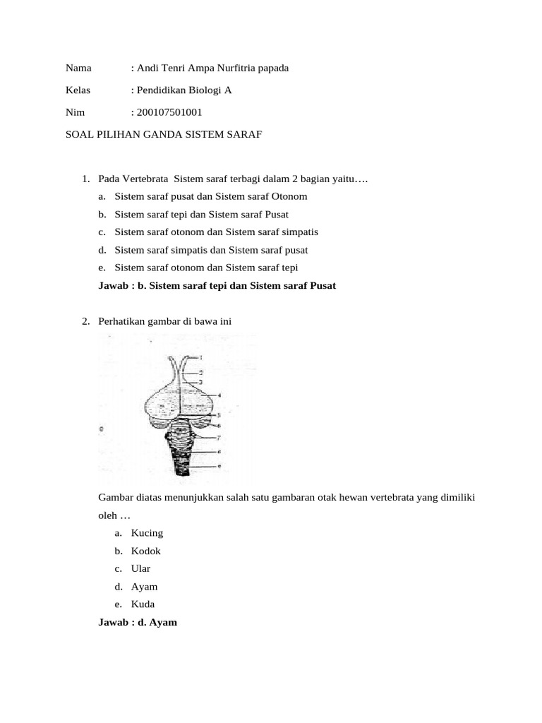 Sistem Saraf pada Ayam dan Vertebrata | PDF | Metode & Bahan Ajar