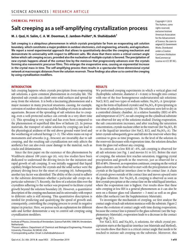 Salt Creeping As A Self-Amplifying Crystallization | PDF | Sodium Chloride | Nucleation