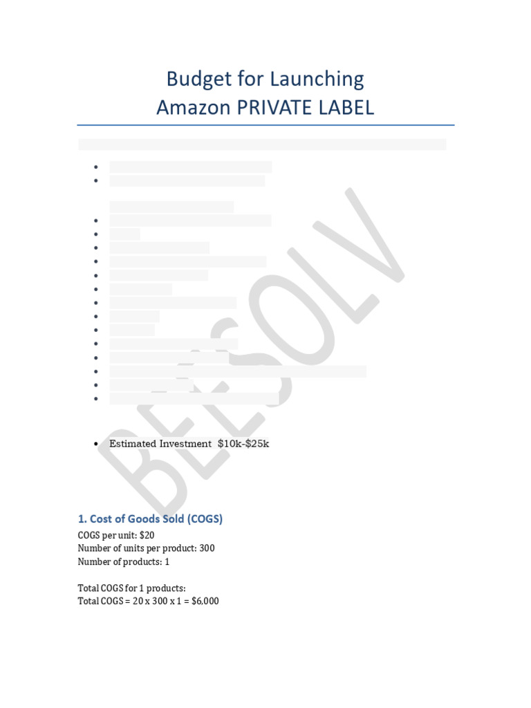 POA PL Amazon USA 2024 AHMAD | PDF | Business | Business Economics