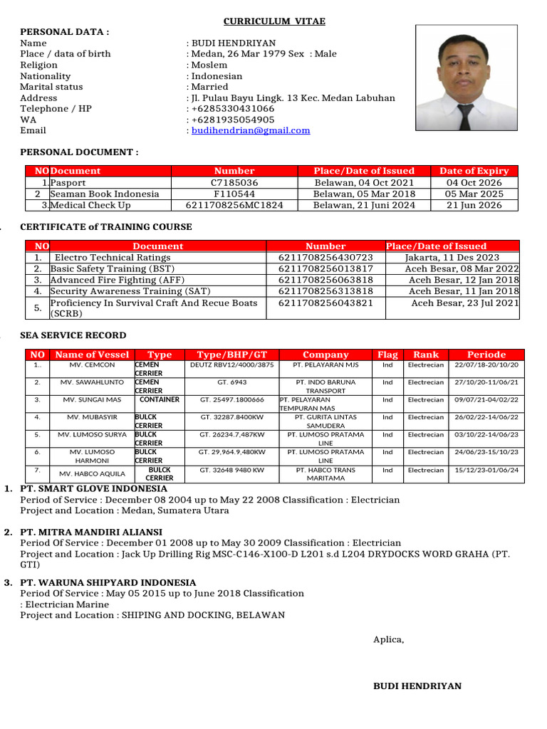CV Budi Hendriyan 2024 | PDF