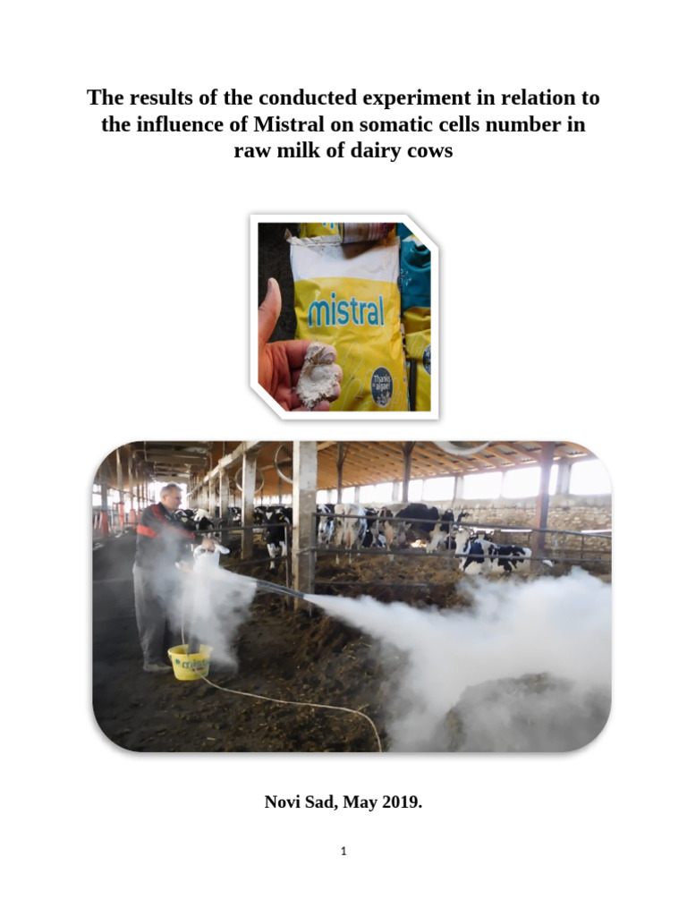 Report Mistral Dairy Cows | PDF | Experiment | Dairy Cattle