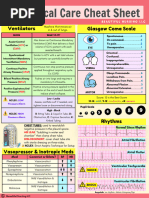 Modified Borg Dyspnea Scale Guide | PDF