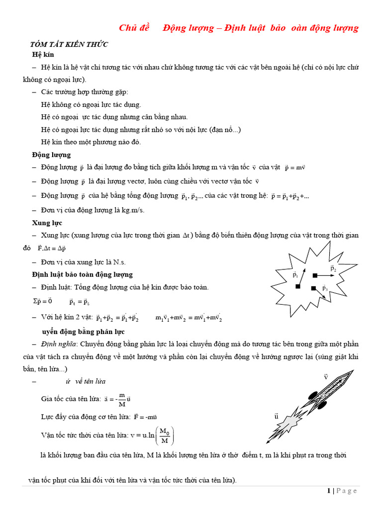 1 - Dong Luong & DLBT Dong Luong | PDF