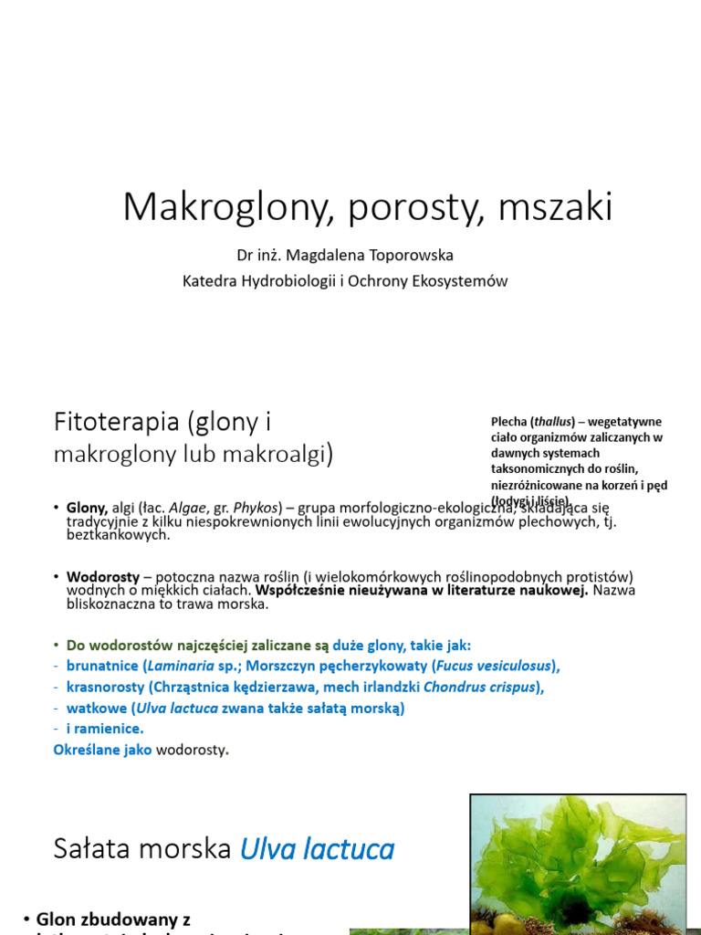 ĆW 18, 19 Makroglony, Porosty, Mszaki | PDF