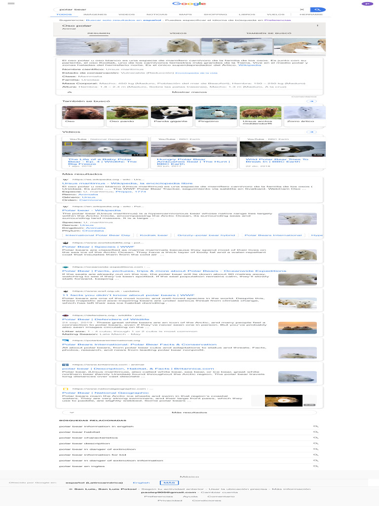 Polar Bear | PDF | Polar Bear | Bears