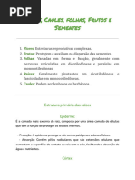 Raízes Adventícias: Exemplos e Funções | PDF | Raiz | Morfologia vegetal