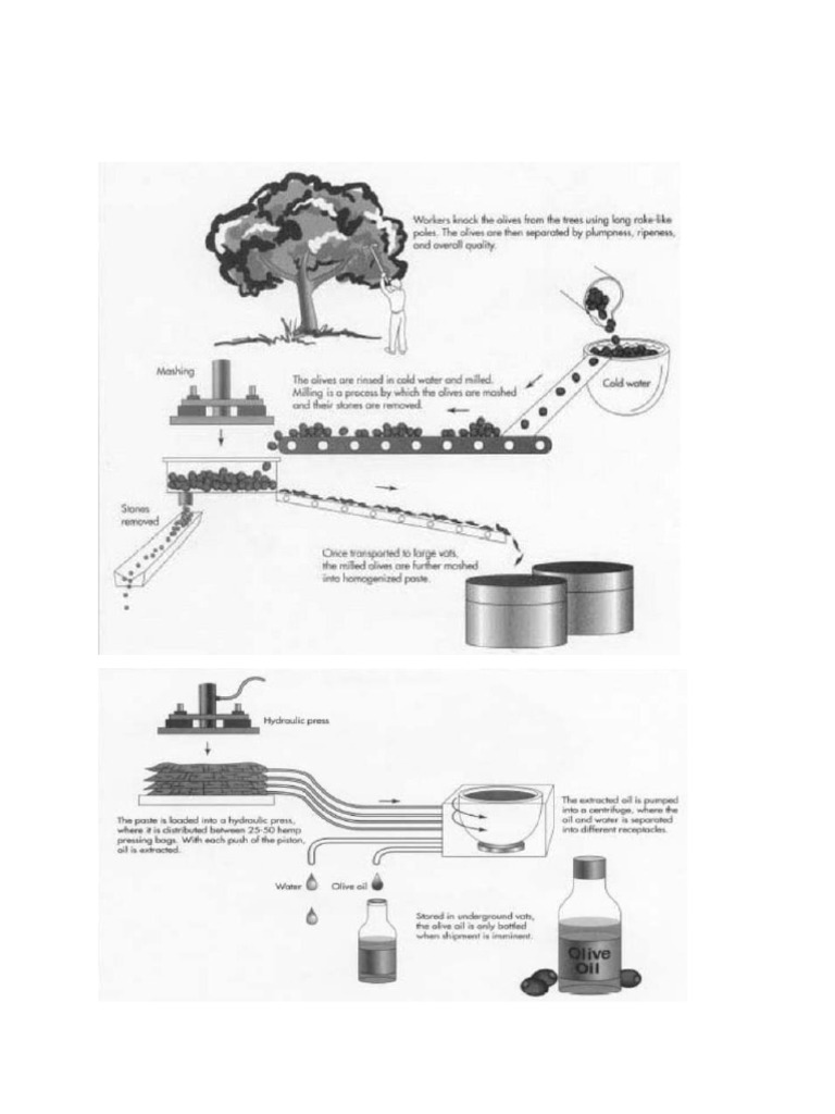 EXTRA PROCESS-đã Chuyển Đổi | PDF